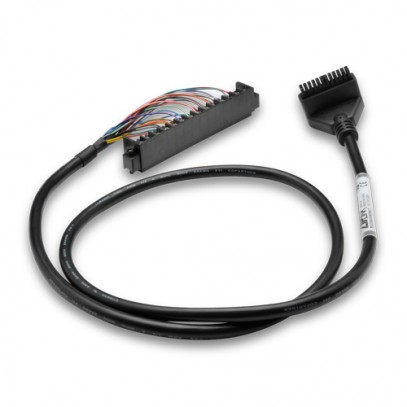 outputs with 20 term 1mtr - ZIPLinks Connector Cables - DL05/06 PLC ...